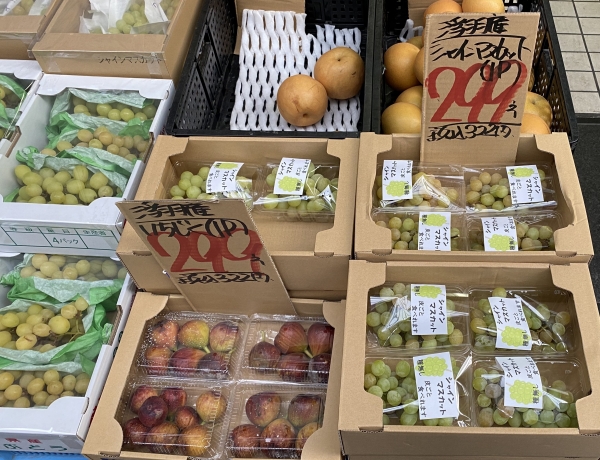 シャインマスカットが299円！安すぎる八百屋さん｜Alcocca天神 福岡 （アルコッカ 天神 福岡）