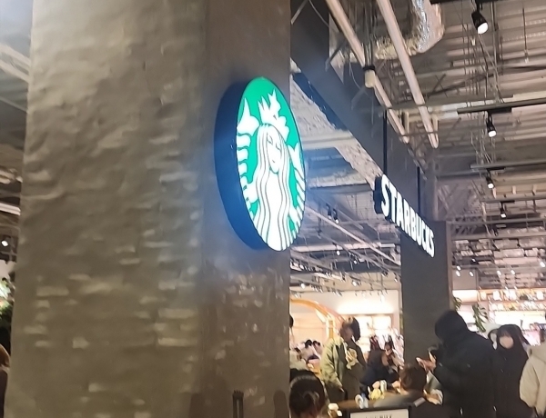 スタバ｜Alcocca天神 福岡 （アルコッカ 天神 福岡）